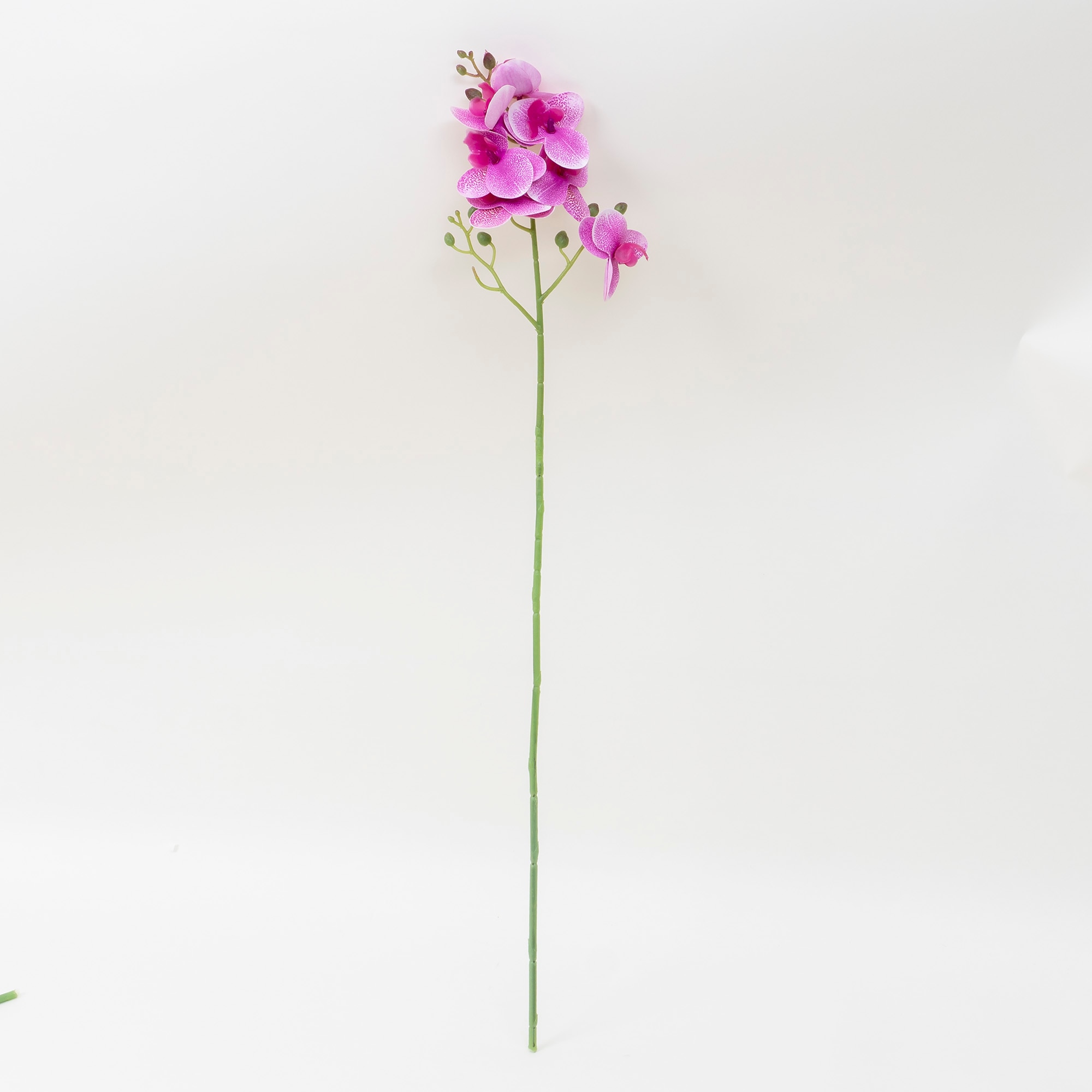 Fir orhidee artificiala cu 8 flori, H 75 cm, B.S.P. / CD5024_4 - eMAG.ro