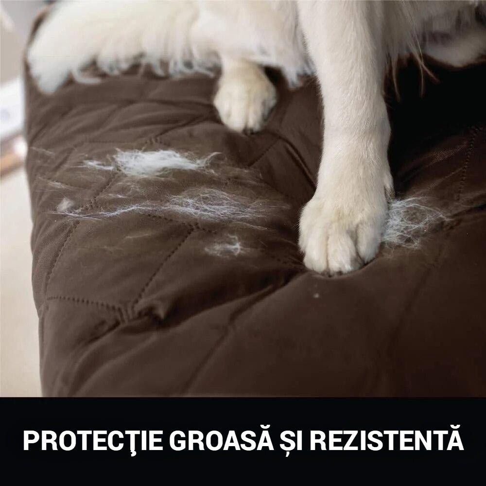 Husa canapea protectie animale, Pentru Catel si Pisica, 140 cm x 170 cm ...