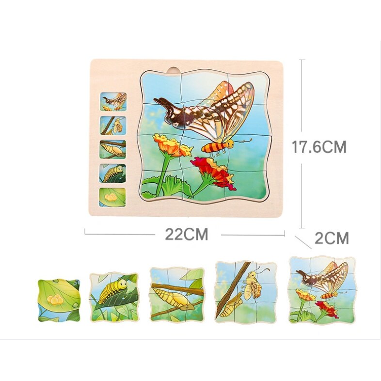Puzzle din lemn in 5 straturi cu ciclul de viata al fluturelui ...