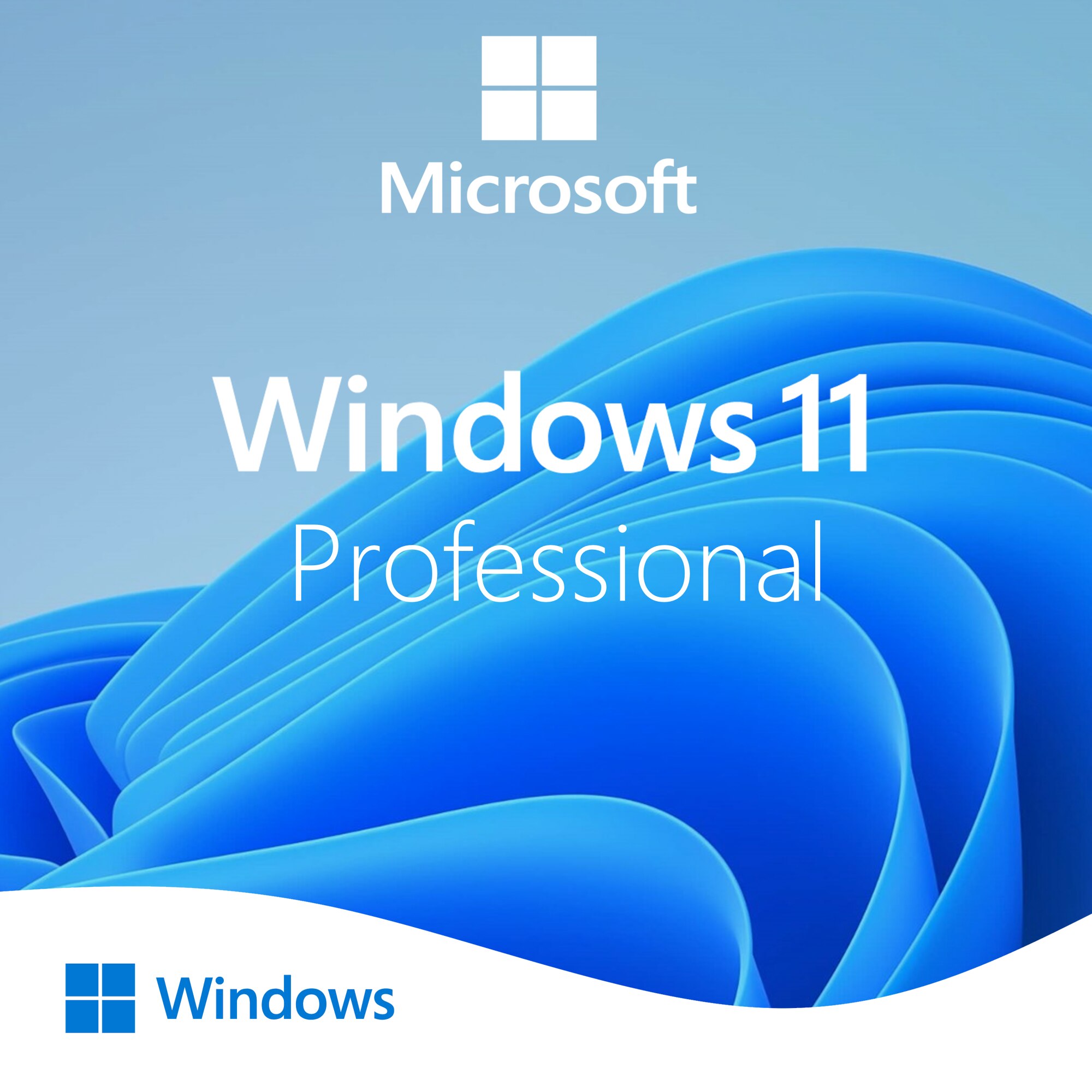 Windows 11 Pro USB Drive Retail Digitális Licenc - eMAG.hu