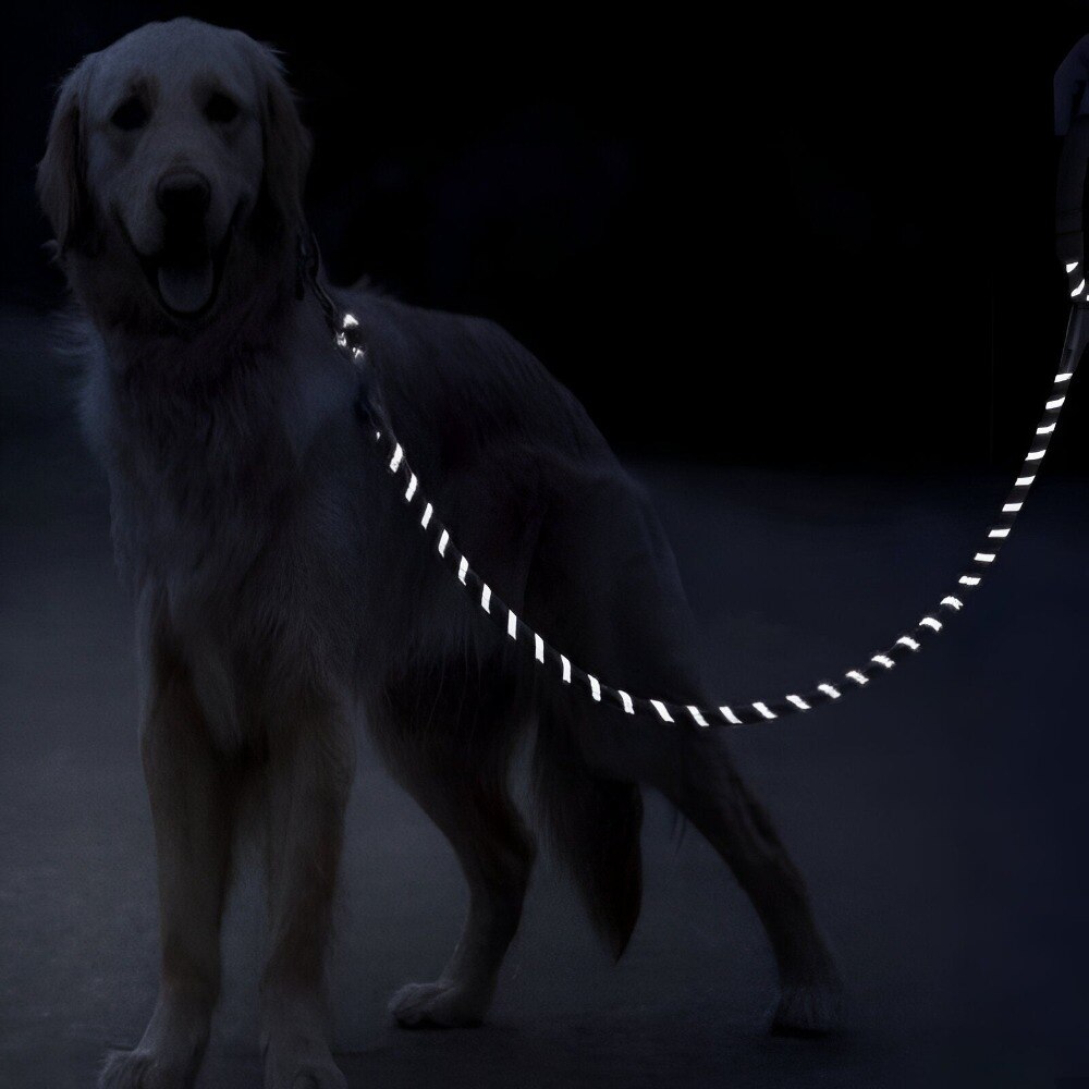 Lesa pentru Caini Velixo®, cu Maner Moale din Spuma, Reflectorizanta ...