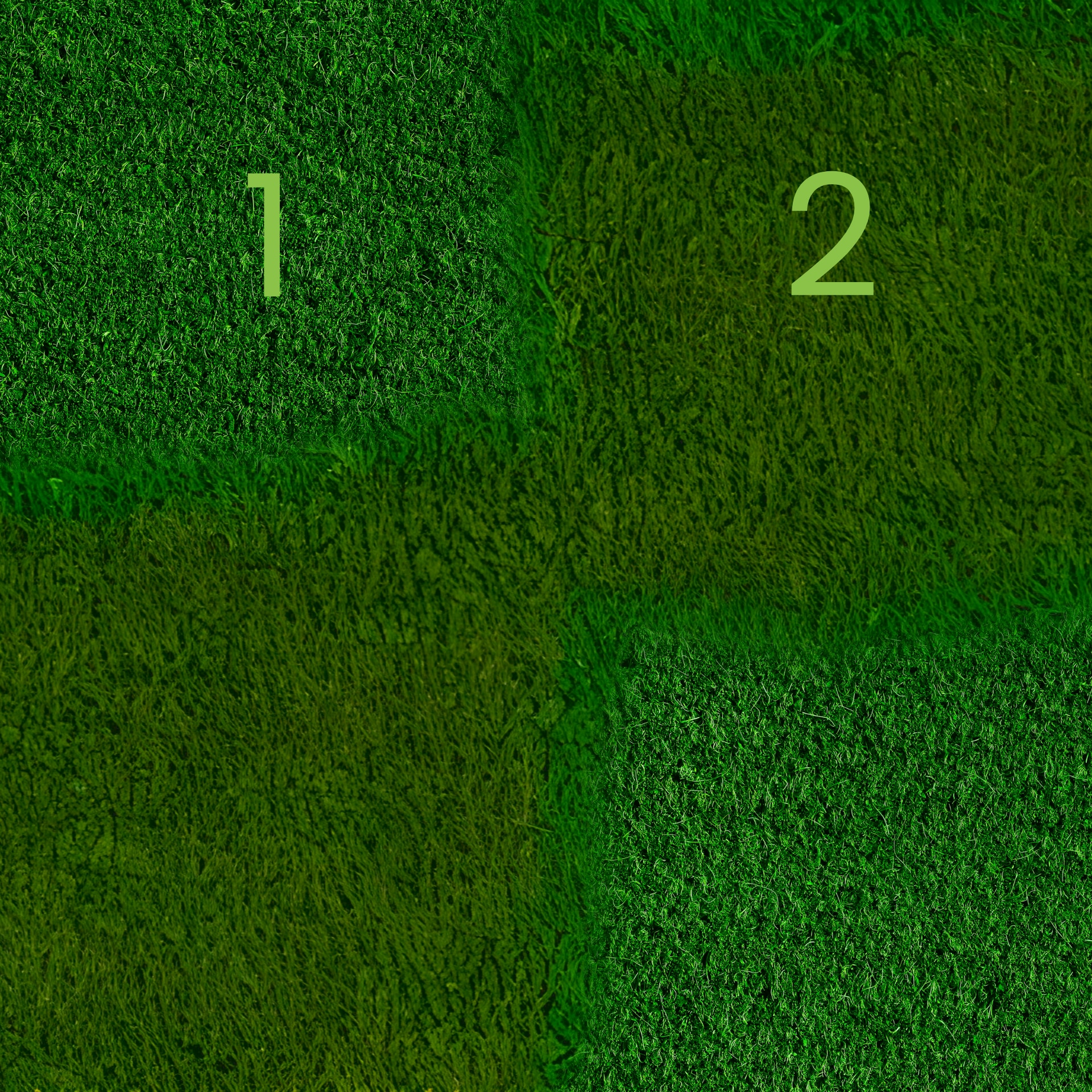 Seminte de Gazon cu Trifoi Alb Pitic 'Eco-Deco'5 kg - eMAG.ro