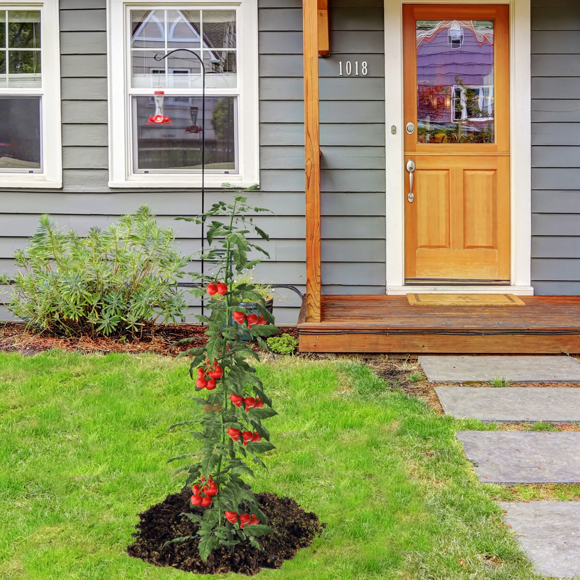 Set 6 tije suport pentru plante cataratoare si flori de gradina ...