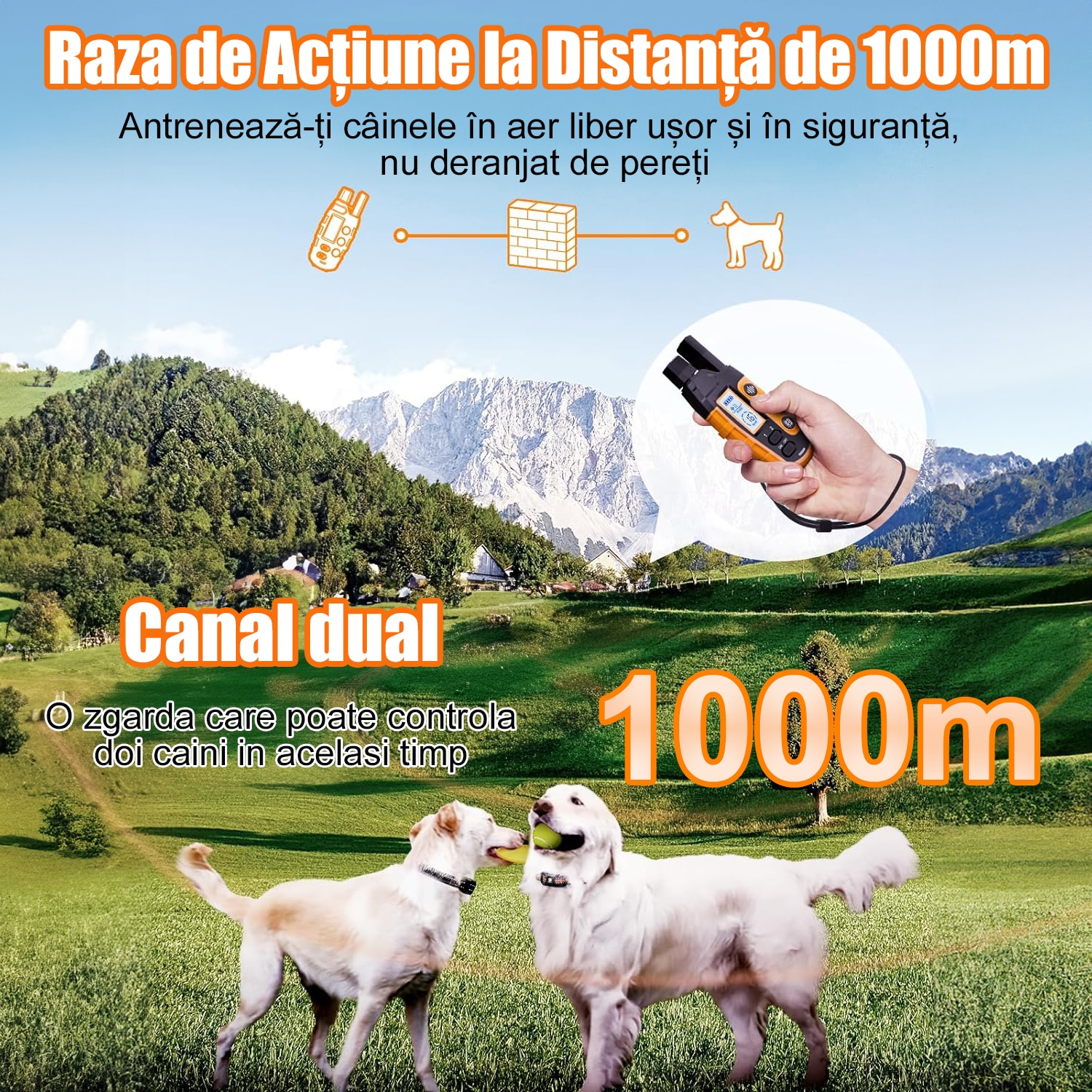 Zgarda Electrica pentru Dresaj Caini, BYONDSELF®, cu Doua Guler, Canal ...