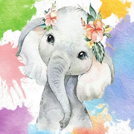 Set de pictura elefant alb - eMAG.ro