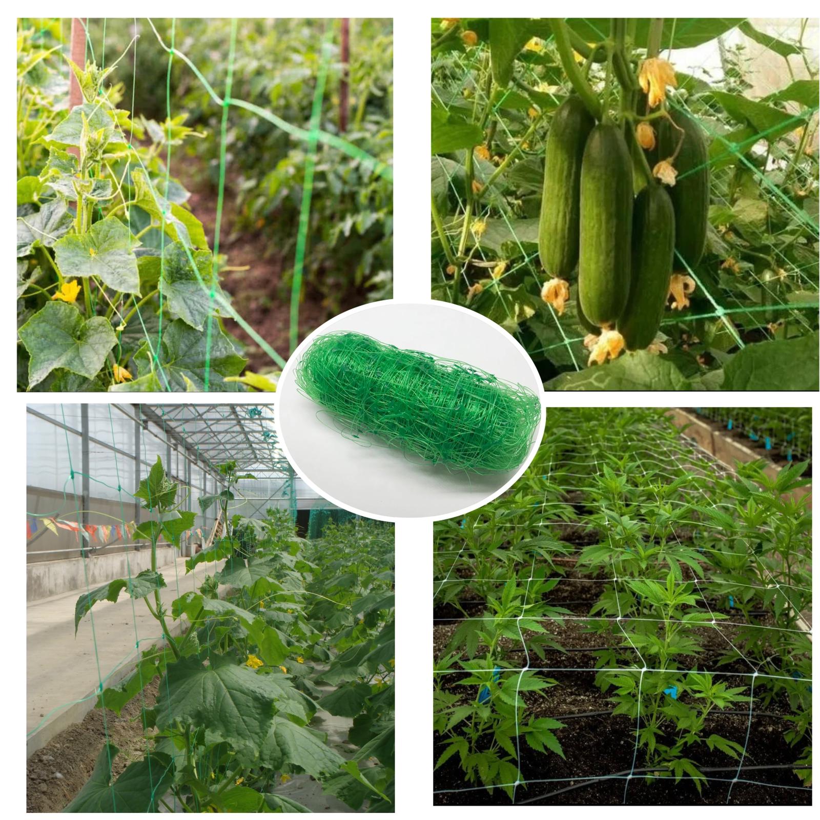 Plasa Castraveti 5m x 1.7m latime - eMAG.ro