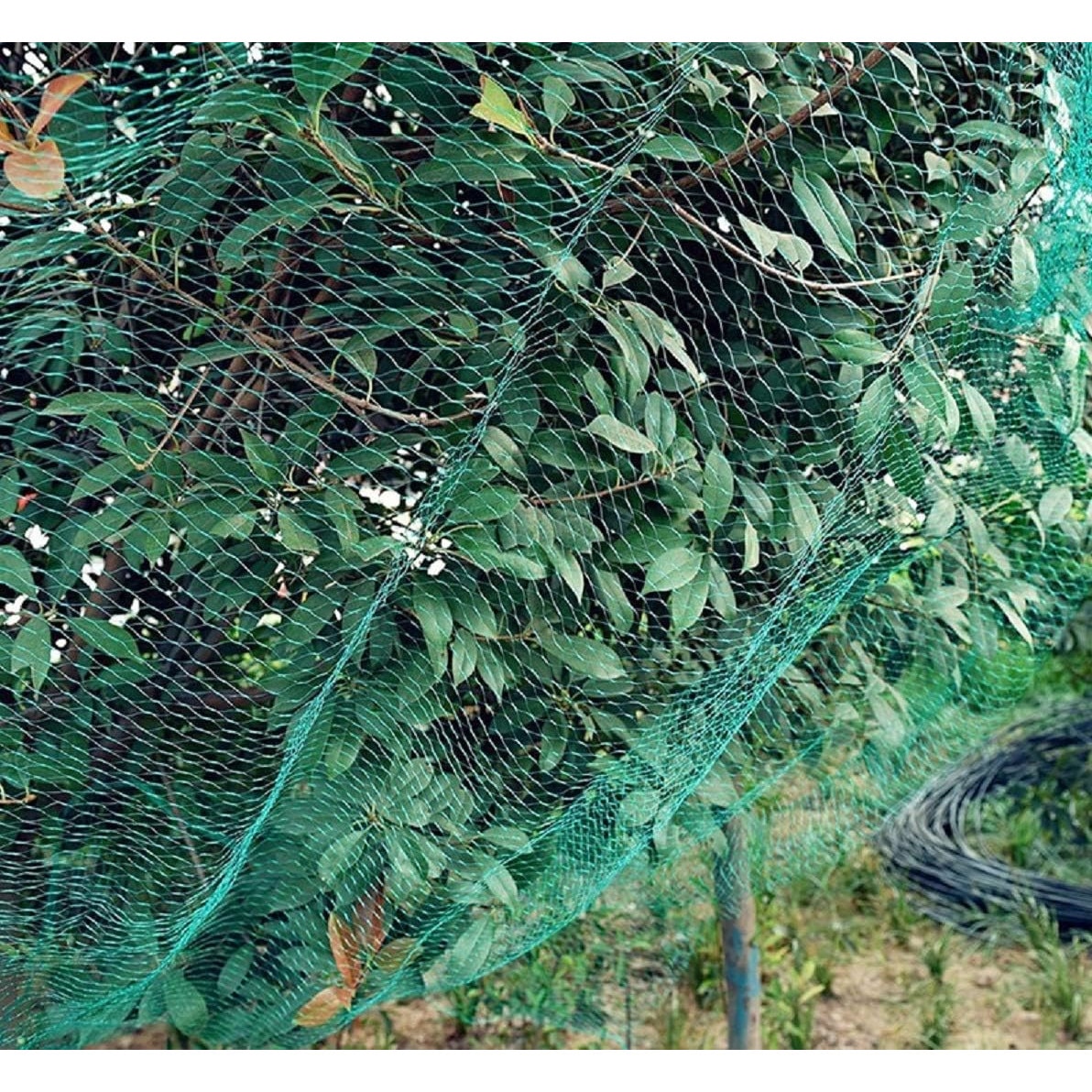 Plasa de protectie pentru pasari 20x8m, verde, 16 ace pentru fixare ...