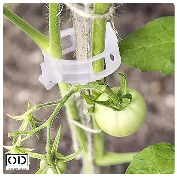 Clips pentru Prins si Legat Lastari de Plante, pentru Rosii, Castraveti ...
