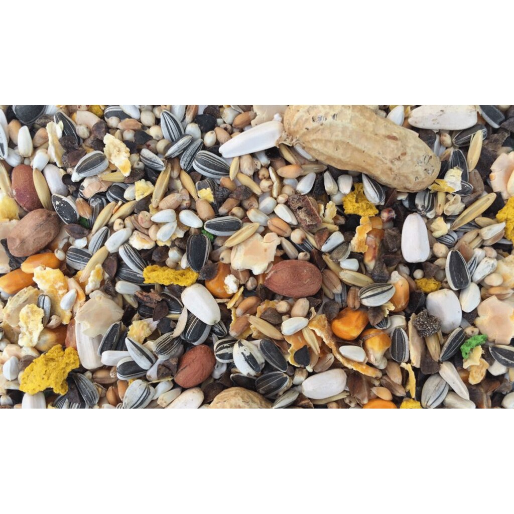 Hrana papagali mari, Ara, Jako, Gri African, Cacadu, Amestec de Seminte ...