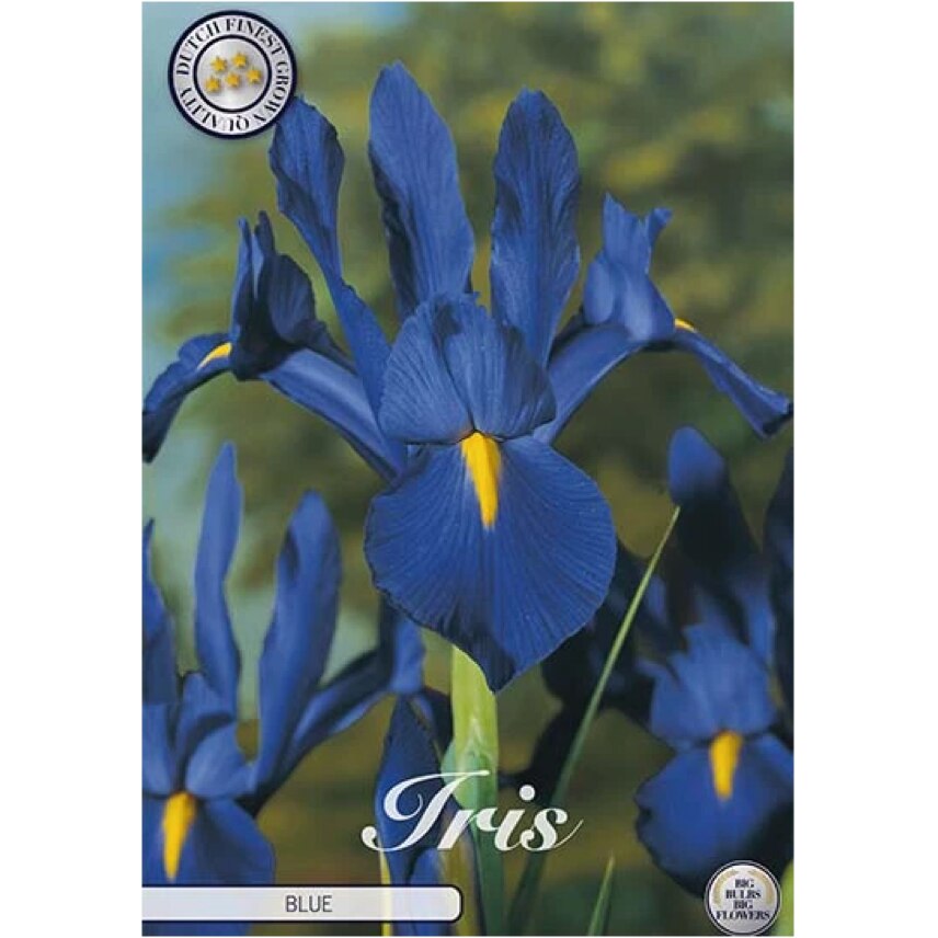 Pachet Iris Hollandica Blauw, Albastru, 10 buc - eMAG.ro