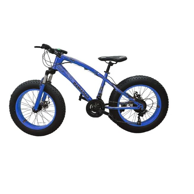 Bicicleta Caraiman, 20E, 20 inch, Cadru Otel, Frane pe Disc, Fat-Bike ...