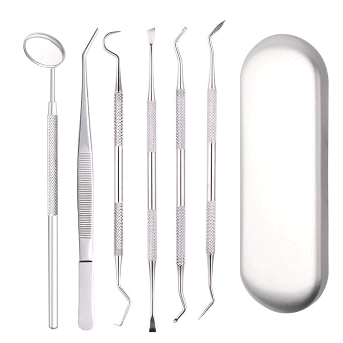Set de Ingrijire Dentara, 6 Piese, Inox, Multifunctional, pentru ...