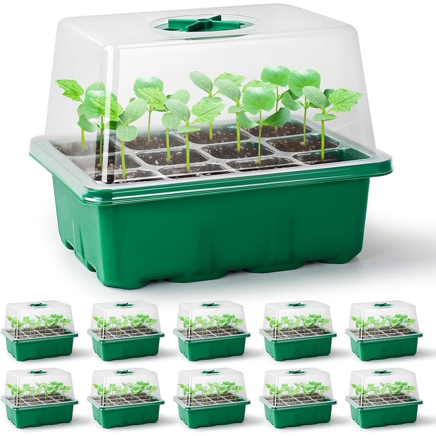 Set de 10 Tavite Germinare pentru Rasaduri, Kit Complet pentru ...