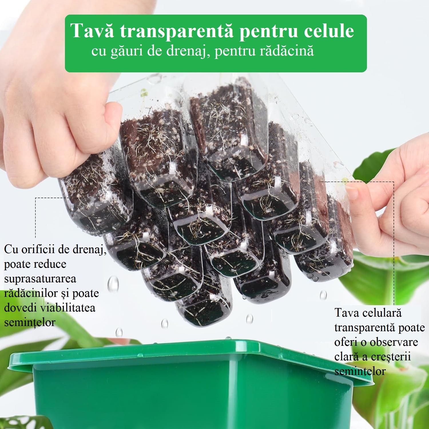 Set de 6 Tavite Germinare pentru Rasaduri, Kit Complet pentru ...