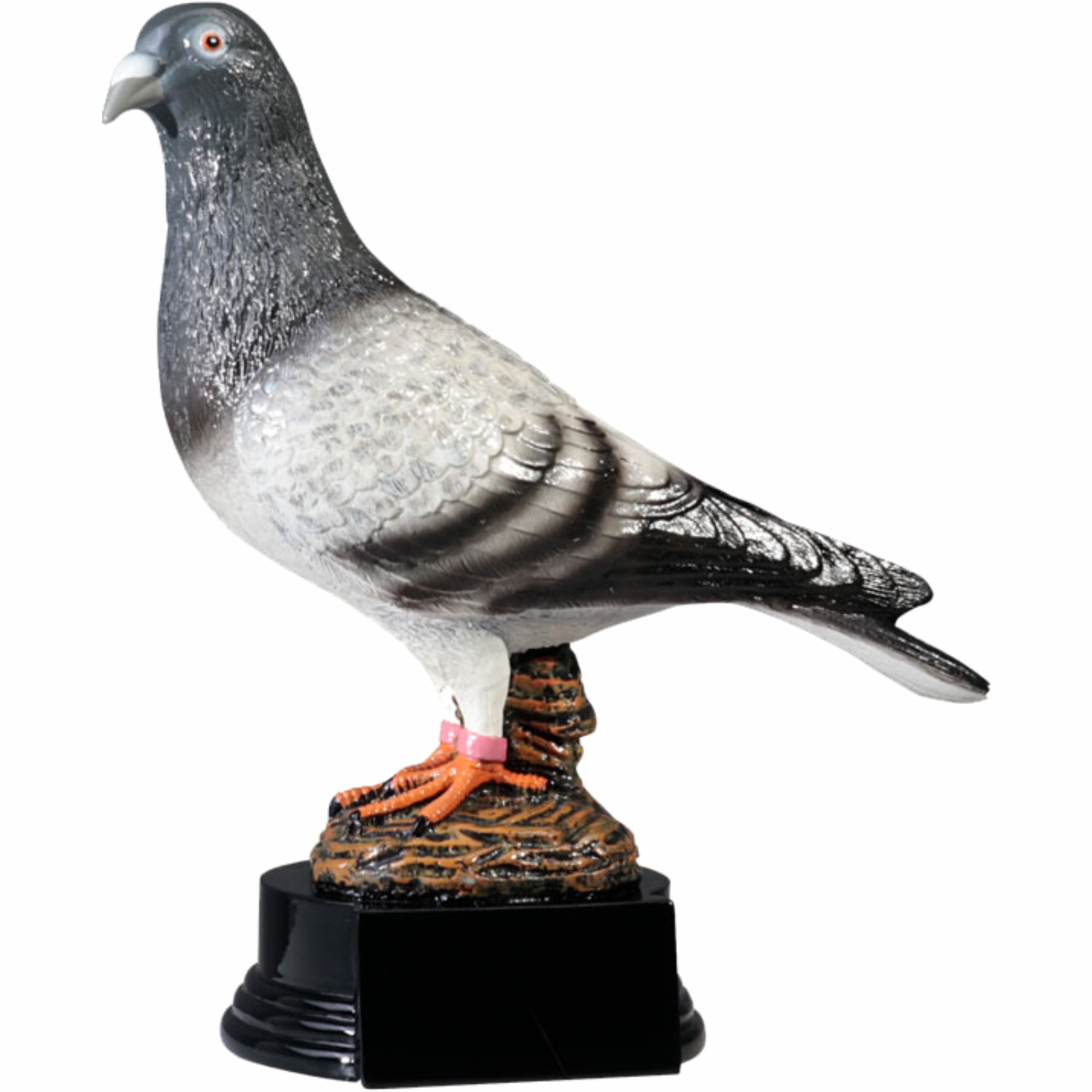 Trofeu Columbofilie - Porumbel, 24 cm - eMAG.ro