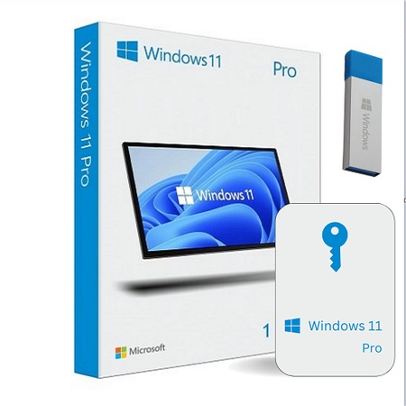 Microsoft® Windows 11 PRO si Kit Depanare, International, All Lang, USB ...
