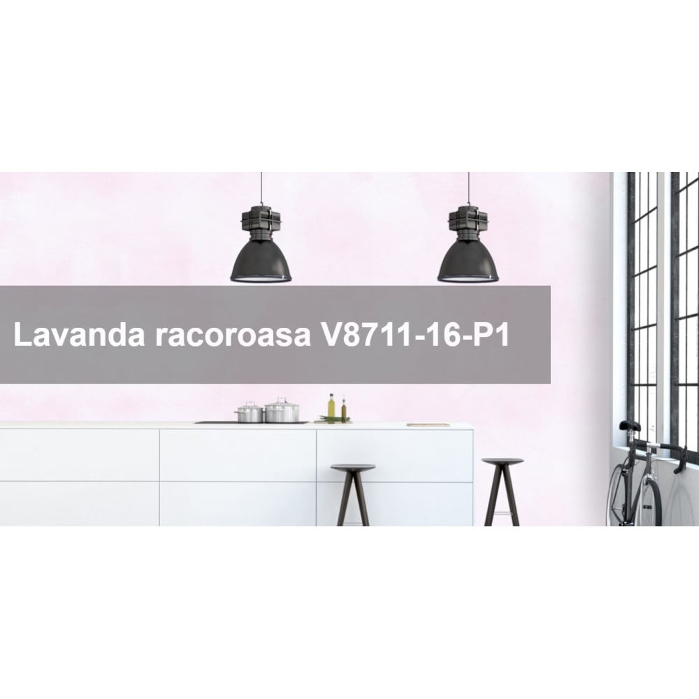 Vopsea efect Stucco Veneziano Lavanda Racoroasa Kober 1 kg - eMAG.ro