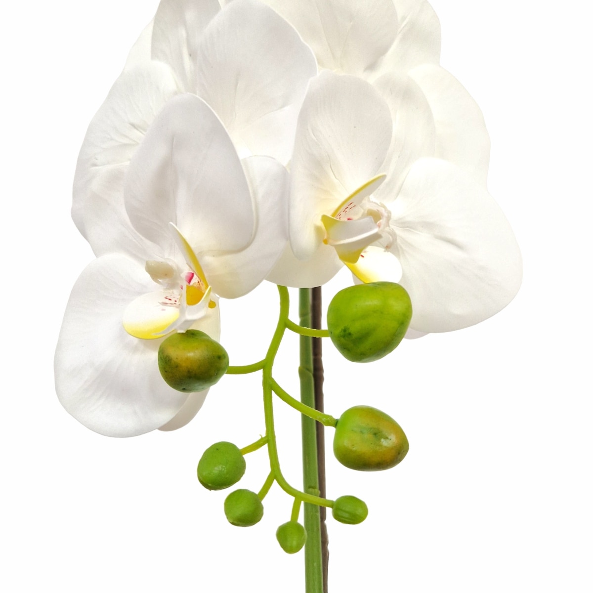 Orhidee cu aspect natural in ghiveci ceramic, 46 cm, Naimeed D5820, Alb ...