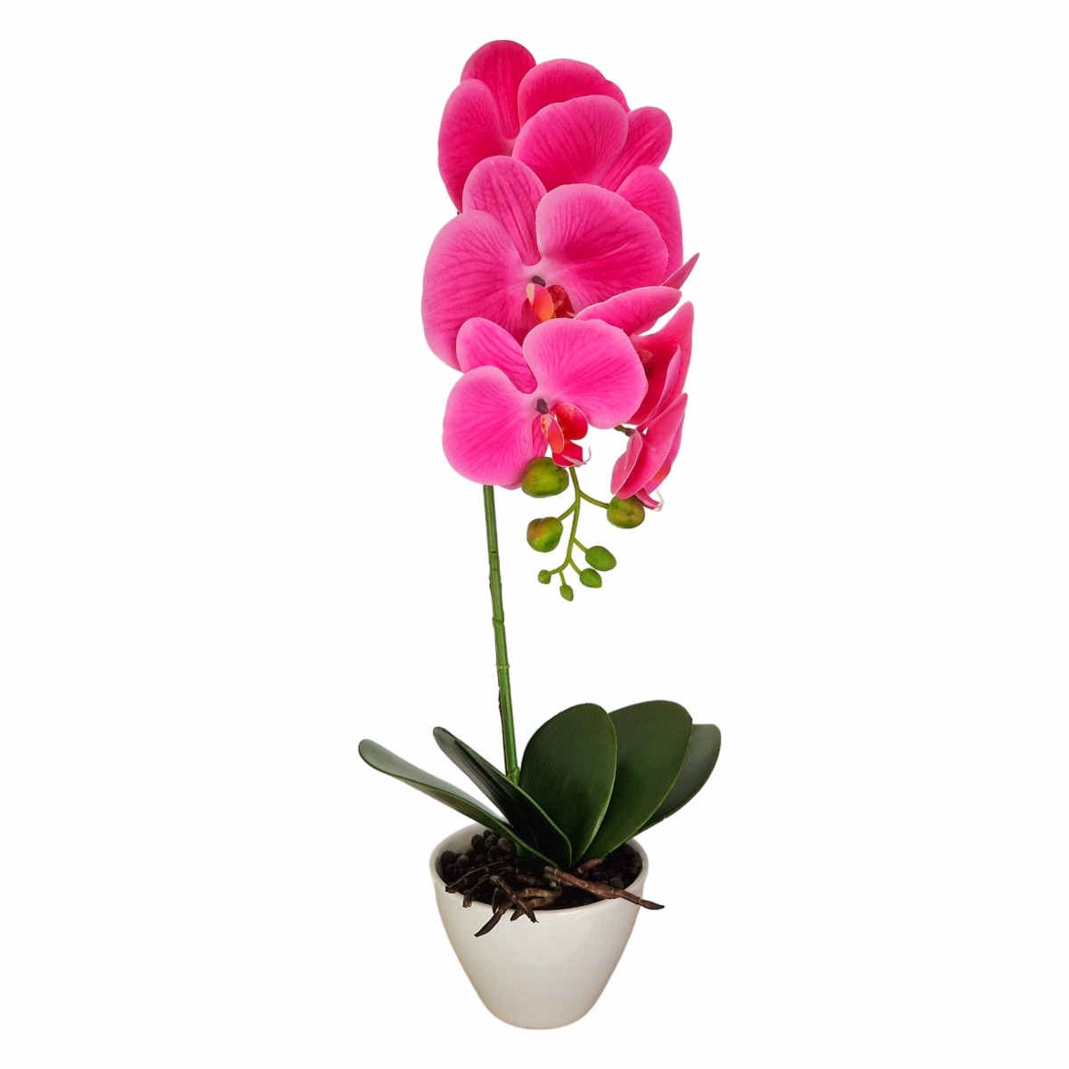 Orhidee cu aspect natural in ghiveci ceramic, 46 cm, Naimeed D5820, Mov ...