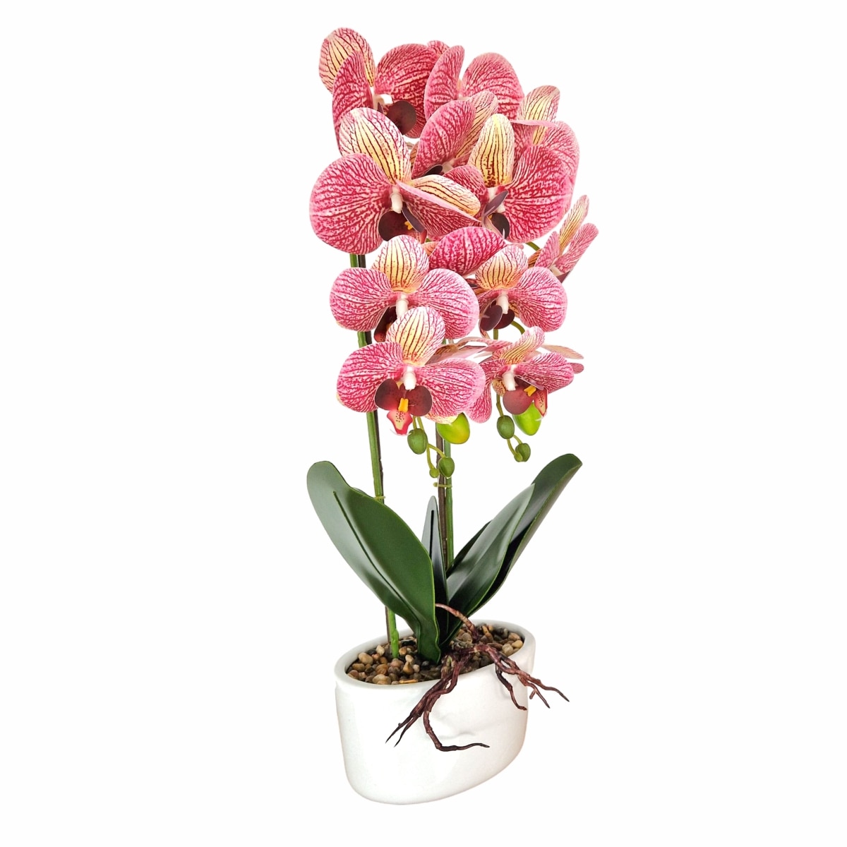 Orhidee cu aspect natural in ghiveci ceramic, 50 cm, Naimeed D5819, Mov ...