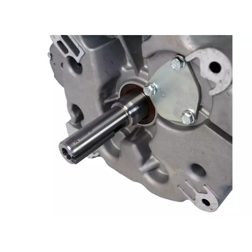 Motor Ax Vertical Loncin 16CP (A) - eMAG.ro