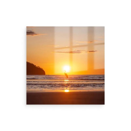 Panou Sticla Bucatarie, Sunset Bird Silhouette, 100x100 cm - eMAG.ro