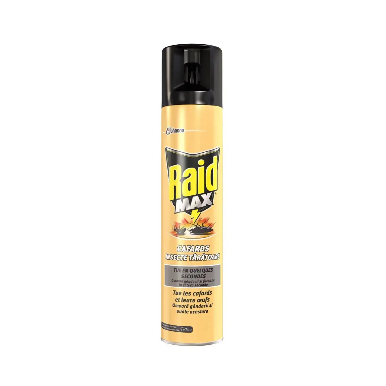 Spray gandaci 3in1 Max 300ml, Raid - eMAG.ro