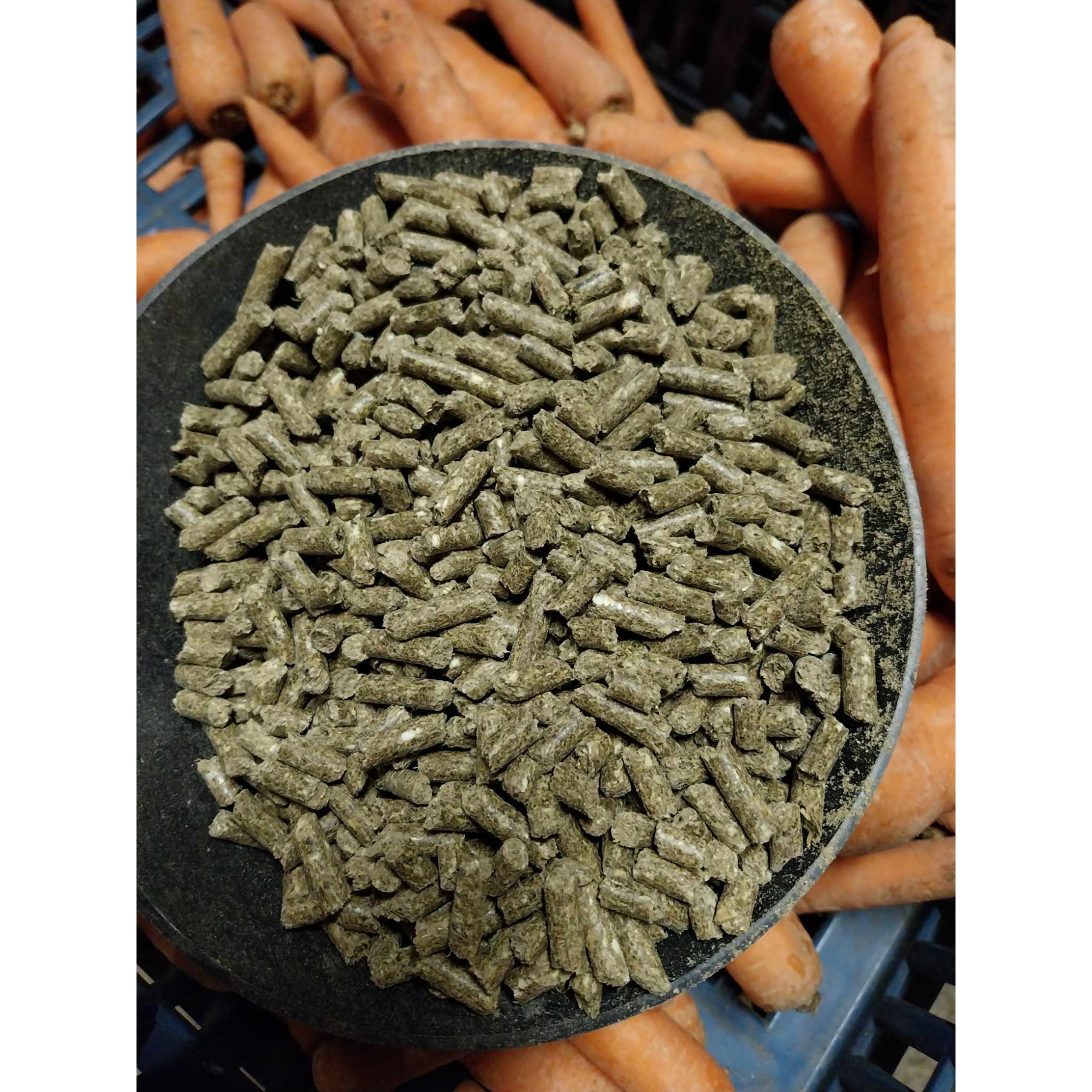 Furaj pentru cai si manji PelletM, 25kg - eMAG.ro