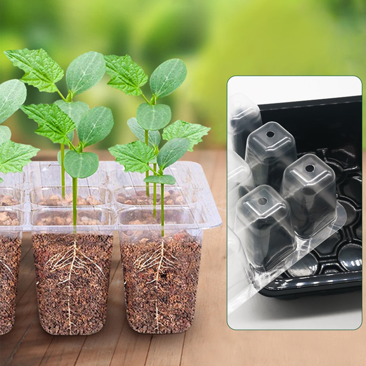 Set 10 mini sere pentru rasaduri, QttvbTna, negru/tansparent - eMAG.ro