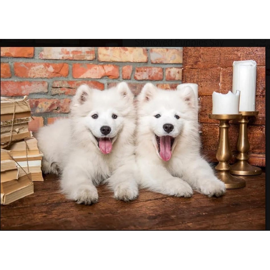 Пъзел Castorland 1000 части, Кученца, 68x47см - eMAG.bg