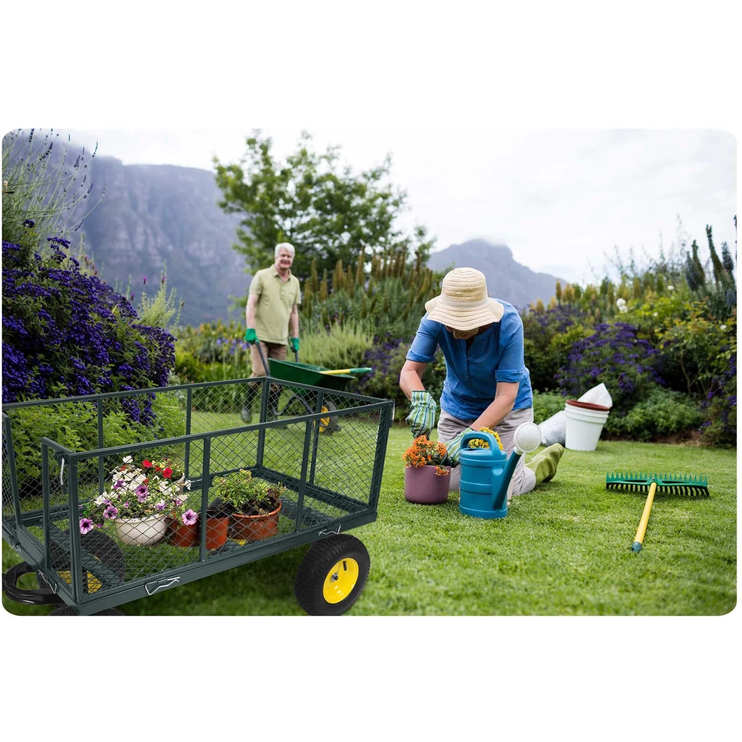 Carucior transport marfa DacEnergy©, cadru puternic din otel, roti ...