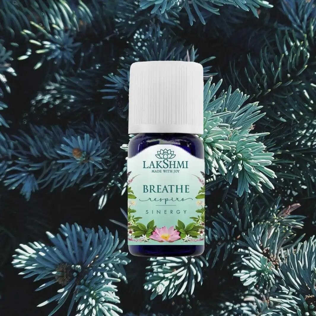 Blend de uleiuri esentiale 100% pure "Breathe" 10ml, Lakshmi, cu brad ...
