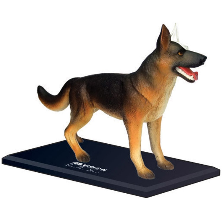 Jucarie educativa, figurina anatomica Mappy 4D Vision Animal - Catel ...