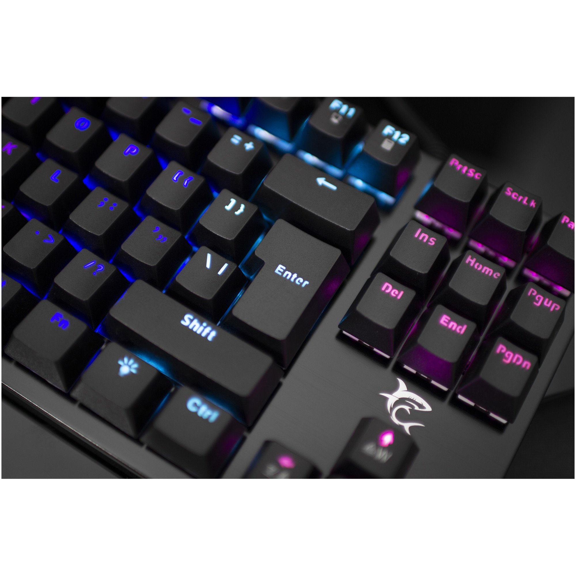 Tastatura Mecanica Gaming cu fir White Shark SPARTAN, Blue OUTEMU ...