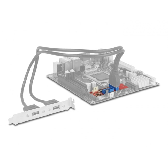 Адаптер Delock, M.2 Key B+M мъжко към 2 x USB 5 Gbps Pin Header - eMAG.bg
