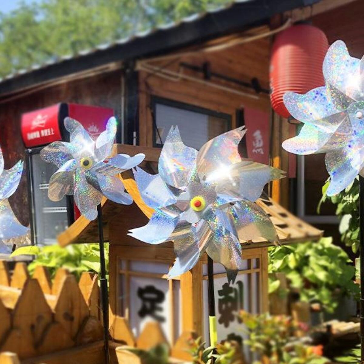 Morisca anti pasari reflectorizanta, sperietoare, indeparteaza ...