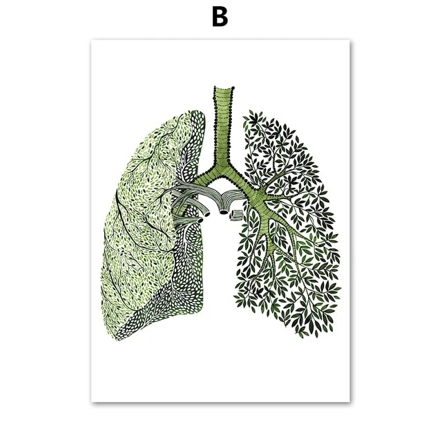 Set de 3 Tablouri Canvas, Modele Anatomice in forma de Inima, Creier si ...