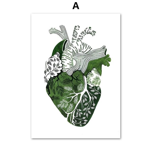 Set de 3 Tablouri Canvas, Modele Anatomice in forma de Inima, Creier si ...