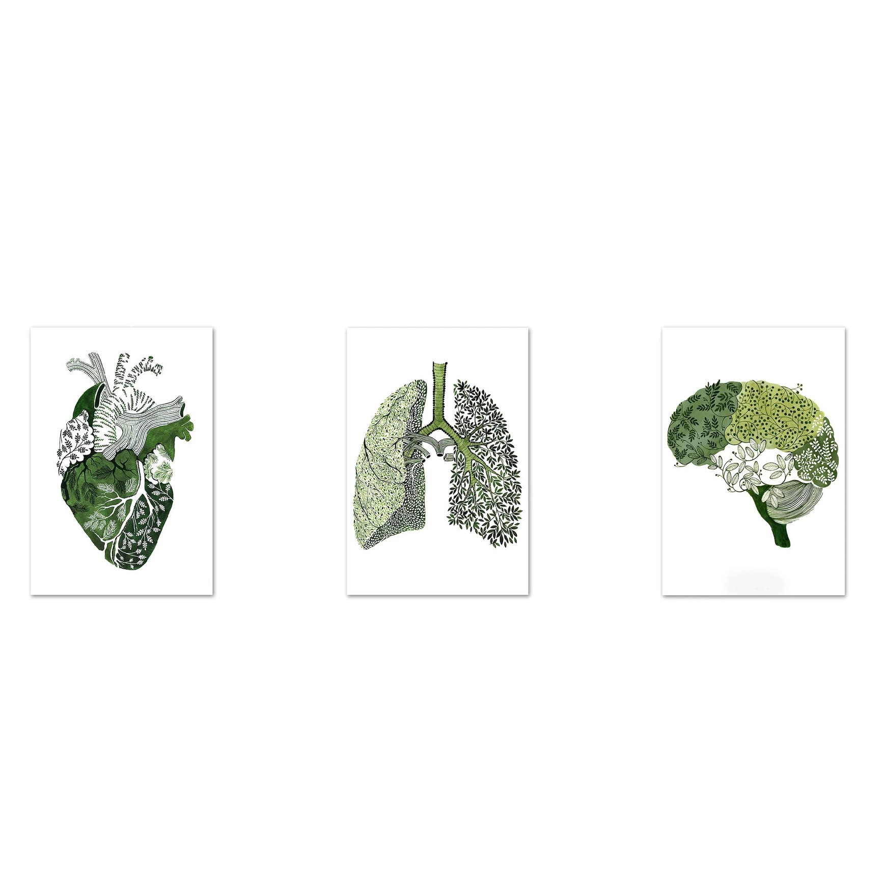 Set de 3 Tablouri Canvas, Modele Anatomice in forma de Inima, Creier si ...