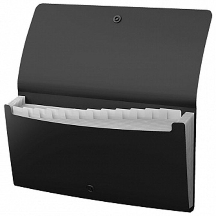 Mapa Plastic Ek DL 12 Compartimente Basic Negru Cu Capsa - eMAG.ro