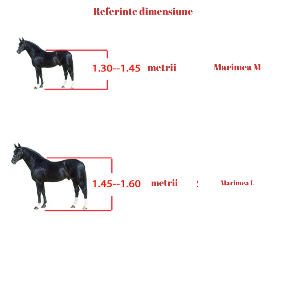 Set 4 Jambiere pentru cai Marimea M, Protectie Avansata pentru Picioare ...