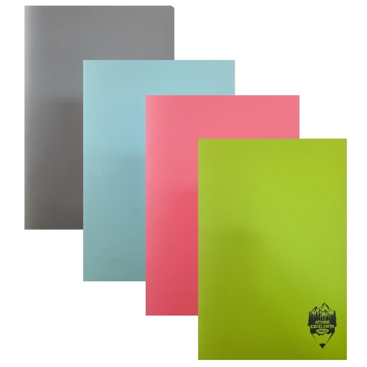 Set 4 caiete studentesti, Matematica, A4, 60 file, FLR, coperta plastic ...