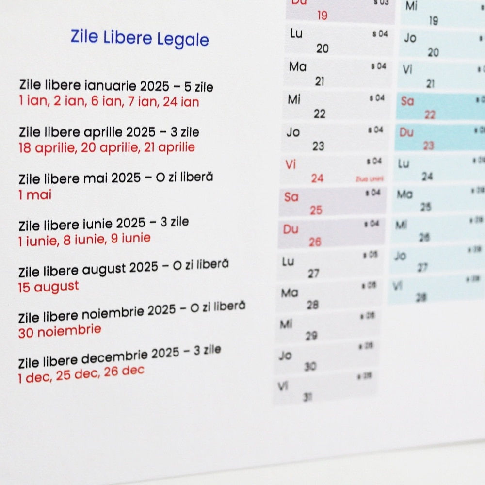 Calendar Planner Anual A2 13 luni 2025, colorful, lung - eMAG.ro