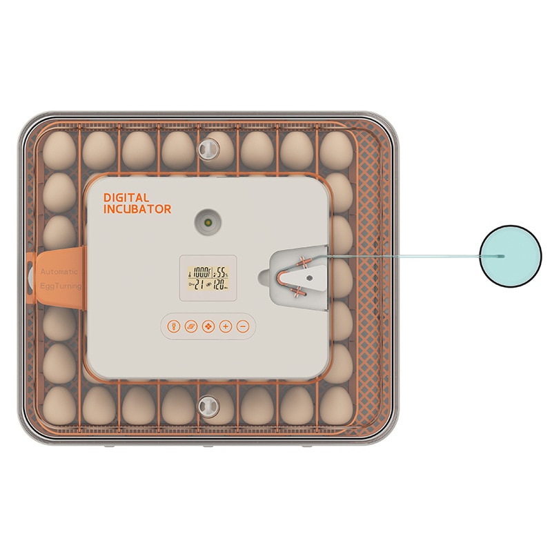 Incubator, complet automat, pentru 56 oua, cu afisaj LED, temperatura ...