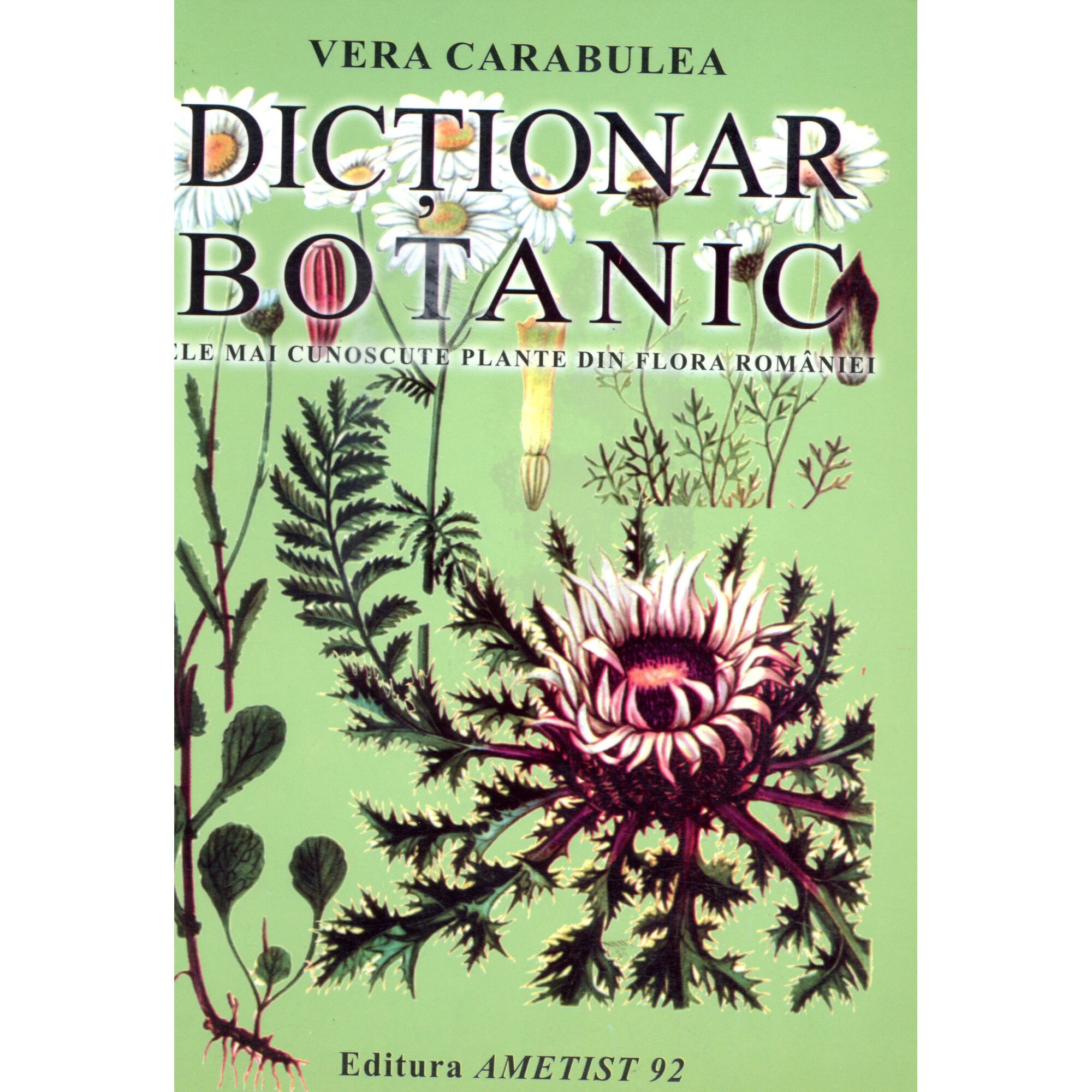 Dictionar botanic, cele mai cunoscute plante din flora romaniei - Vera ...