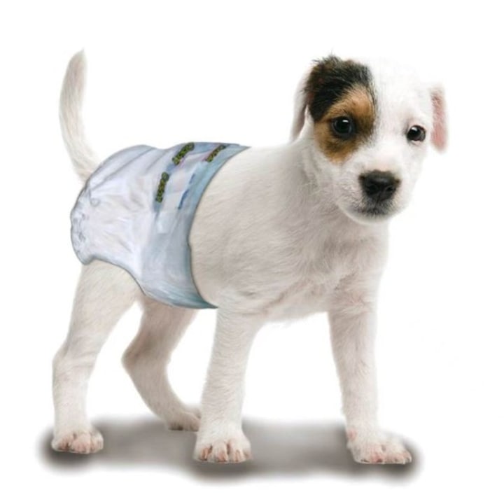 Scutece Pantaloni pentru Catei de Talie Medie, cu Gaura pentru Coada ...