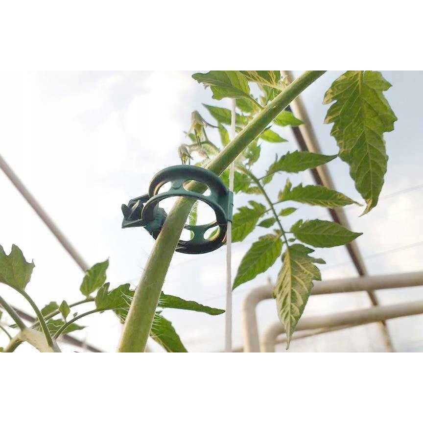 Cleme suport pentru tulpini, Agrido, 1000 buc, plastic, verde, 22mm ...