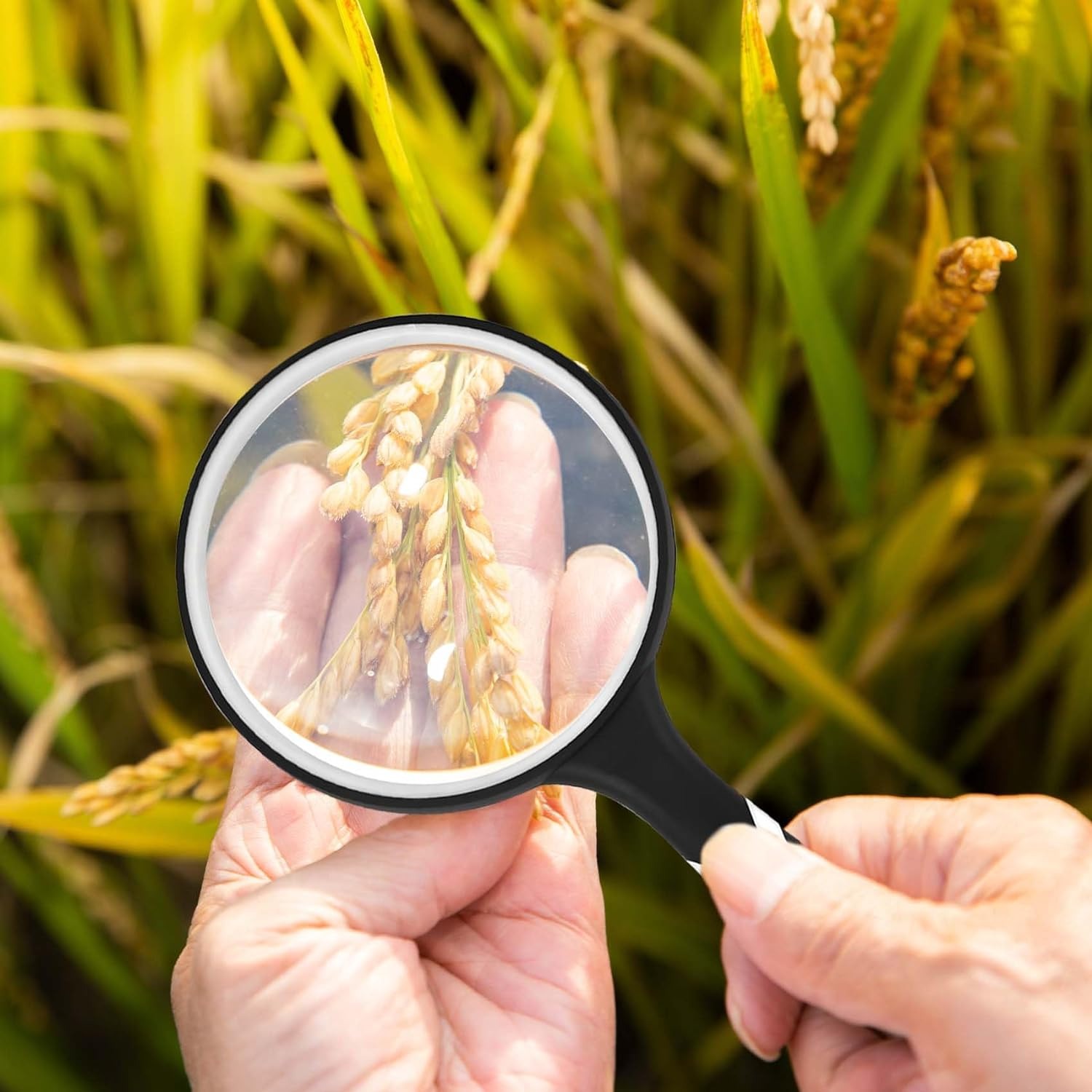 Lupa de citit profesionala, Diametru 75mm, Maxim 10x - eMAG.ro