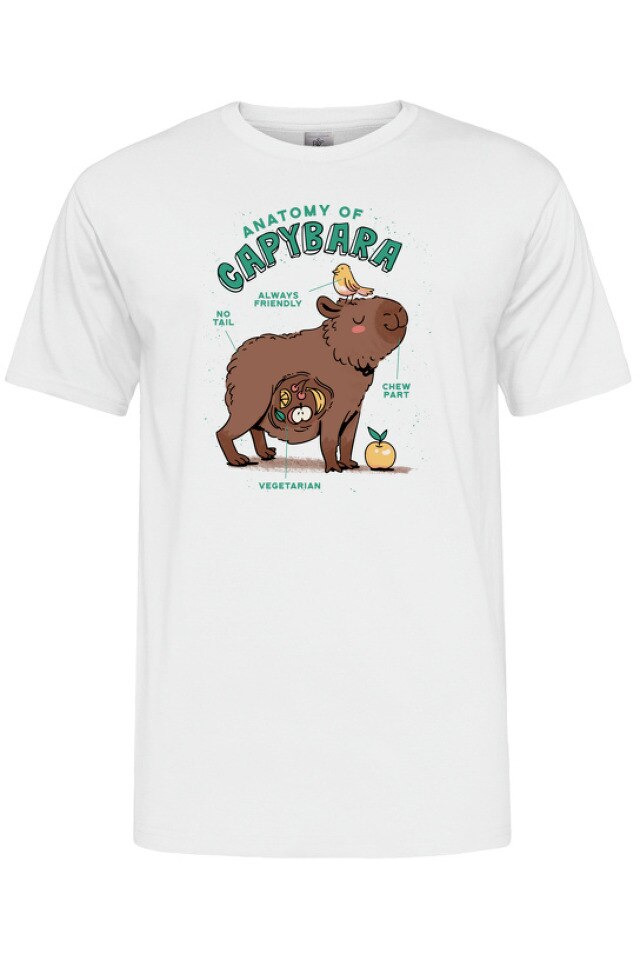 Anatomy of Capybara - eMAG.ro