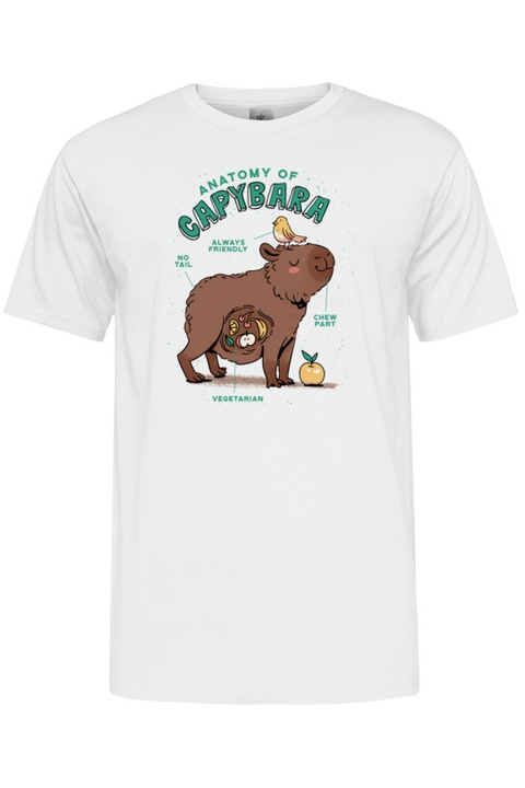 Anatomy of Capybara - eMAG.ro